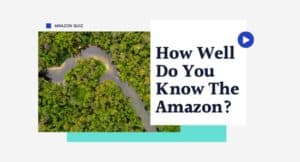 Amazon Rainforest True Or False Quiz - UntamedAnimals