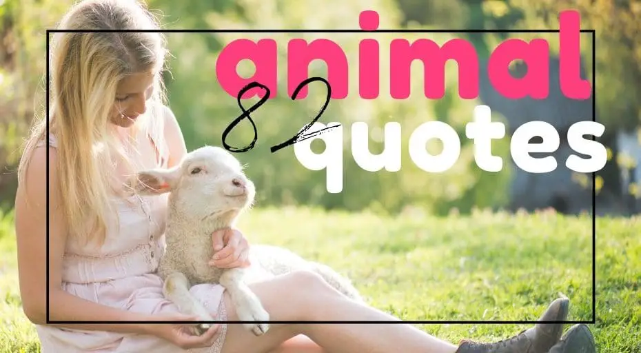 82 of the Most Important Animal Quotes – UntamedAnimals.com