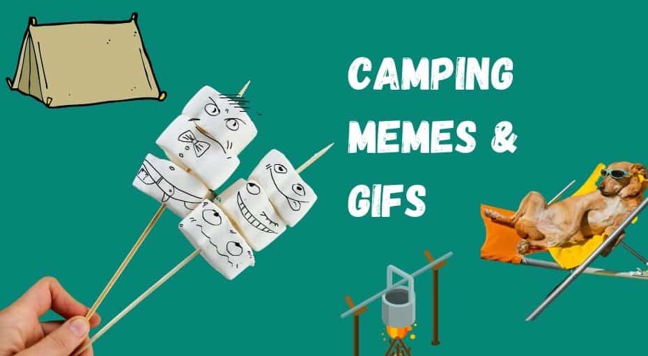 Camping Memes/GIFs - UntamedAnimals.com