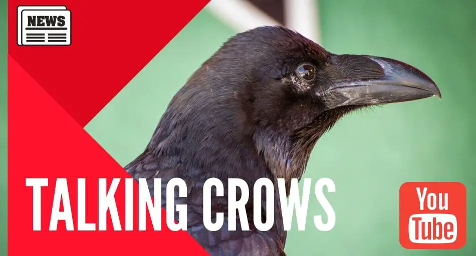 Latest News – UntamedAnimals.com