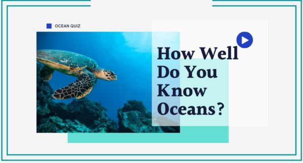 Remarkable Oceans Quiz - Will You Sink Or Swim? - UntamedAnimals