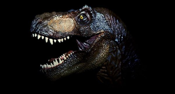 Could Dinosaurs See In The Dark? - UntamedAnimals