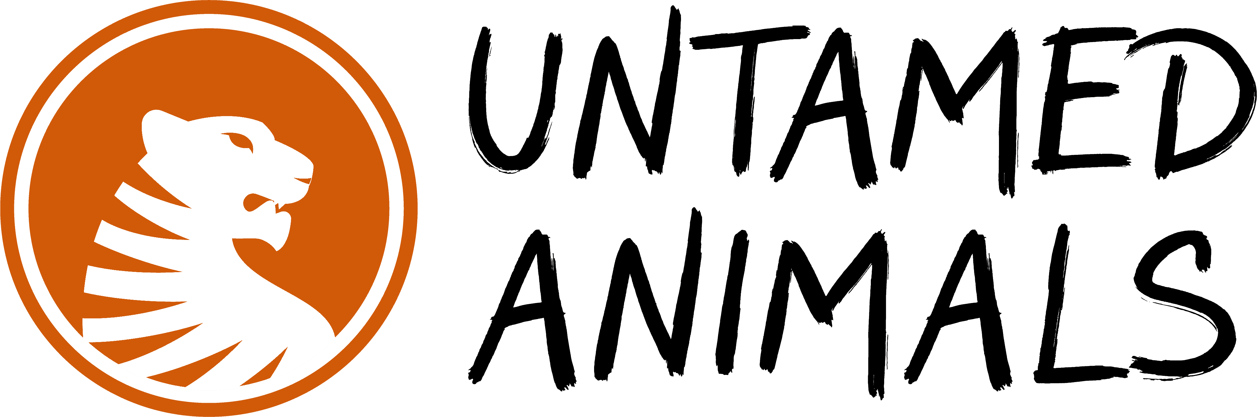 Are Bears Friendly? (Everything You Need To Know)